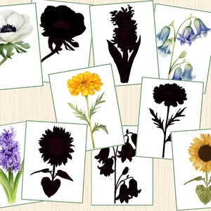 Flower Shadow Matching Card,flower Flashcards,spring Shadow,matching ...