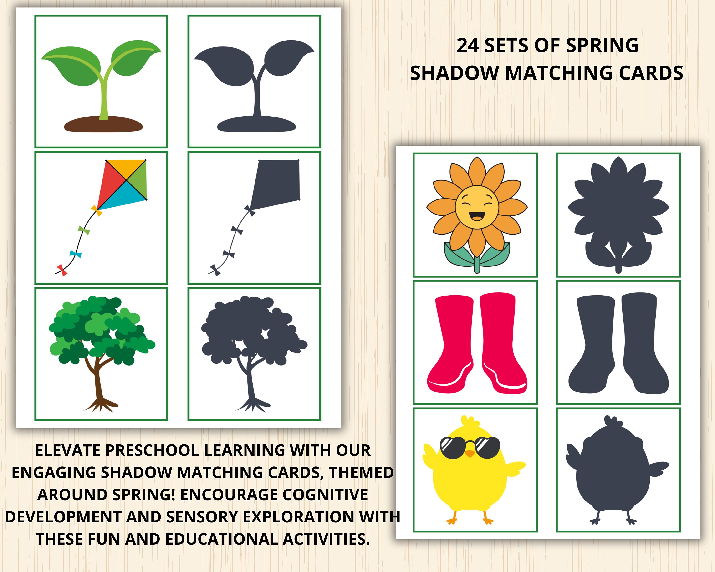 Spring Shadow Matching Cards, Spring Shadow Matching Activity ...
