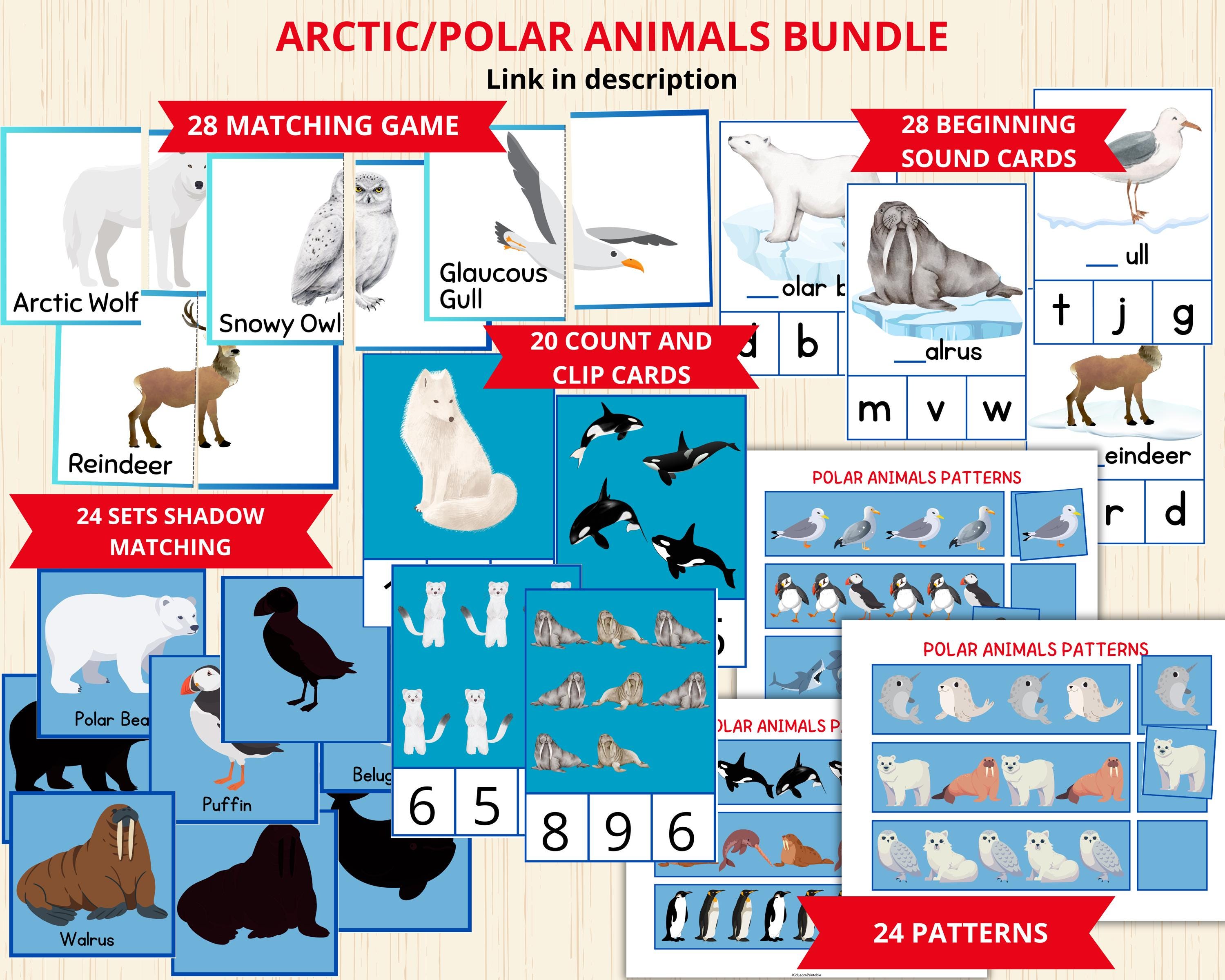 Polar Animals Patterns,ab AAB Patterns,what Comes Next,pattern Activity ...