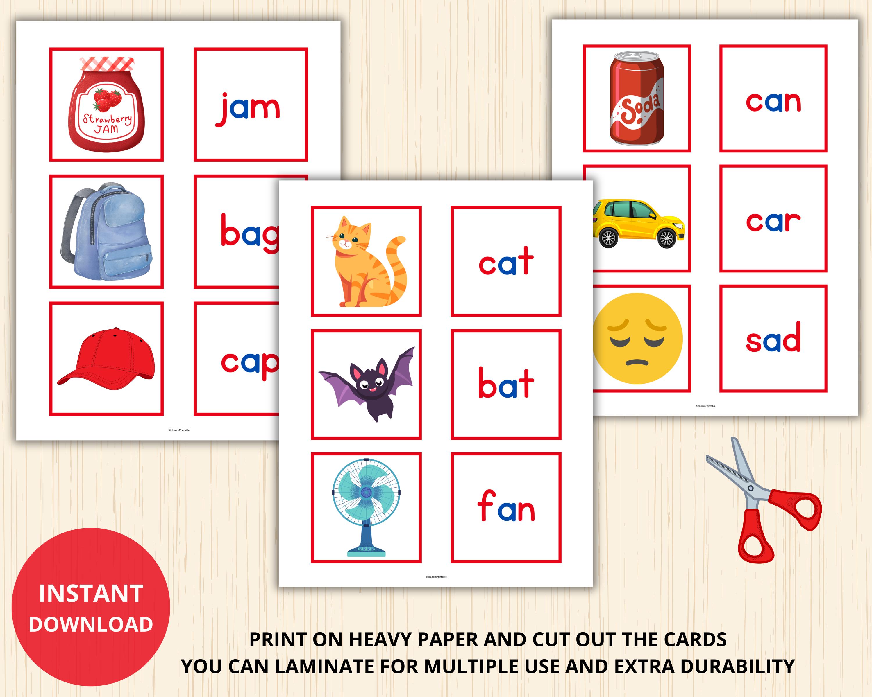 Cvc Word Cards,cvc Word and Picture Matching Activity,cvc Word Matching ...