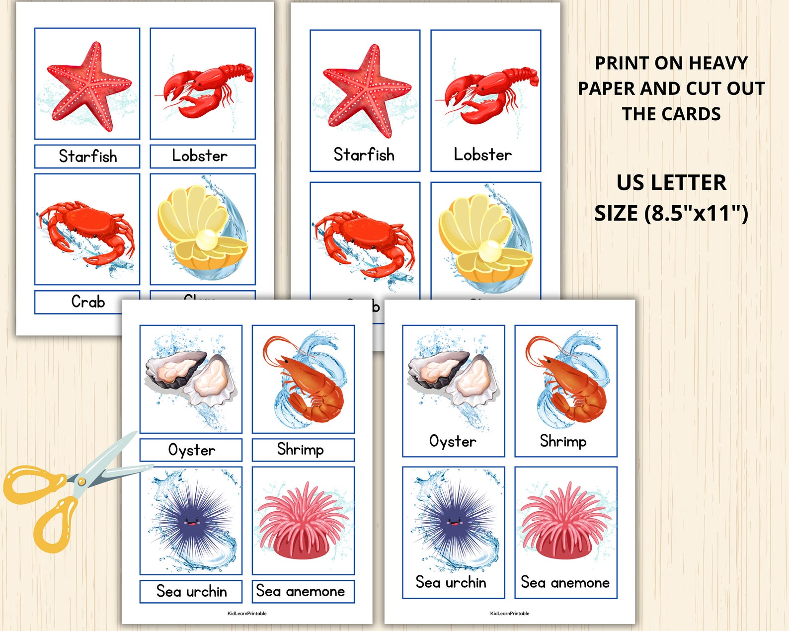 Ocean Montessori 3 Part Cards,sea Animals Vocabulary Cards,ocean Animal ...
