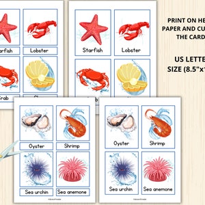 Ocean Montessori 3 Part Cards,sea Animals Vocabulary Cards,ocean Animal ...