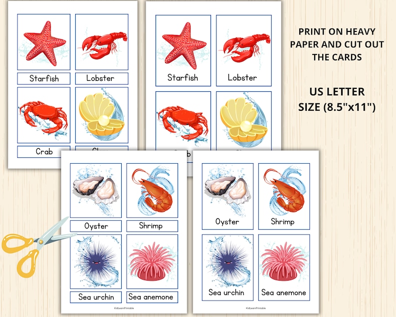 Ocean Montessori 3 Part Cards,sea Animals Vocabulary Cards,ocean Animal ...