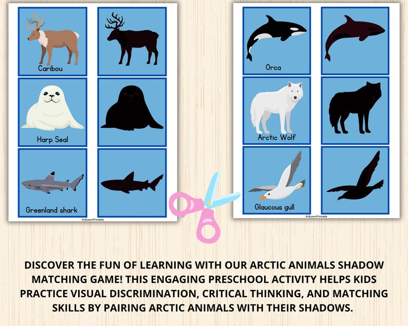 Arctic Animals Shadow Matching,north Pole Animals,winter Matching ...