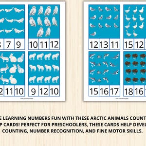 Arctic Animals Count and Clip Cards,polar Animals Cards,winter ...