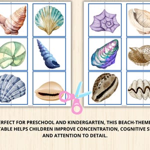 Seashell Matching Activity,seashell Matching Game,ocean Animal Puzzles ...