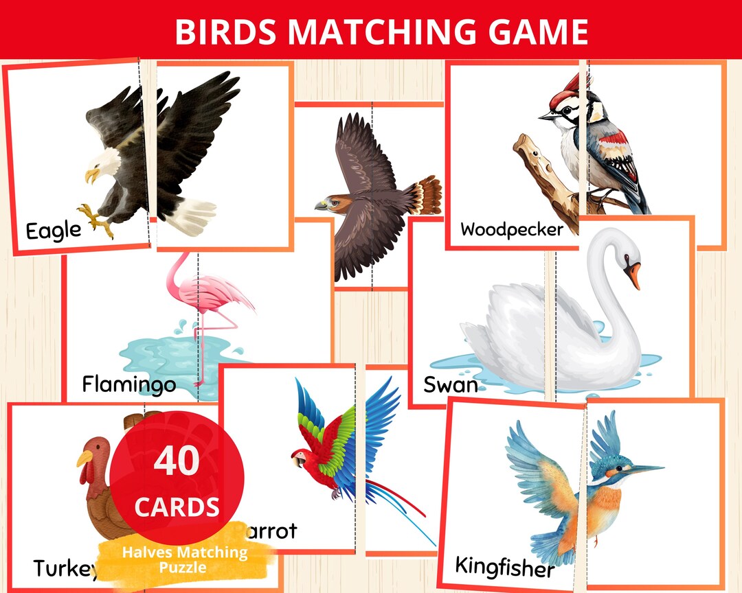 Birds Puzzle Pairs,bird Matching Activity,bird Matching Puzzles,nature Match Cards,toddler ...