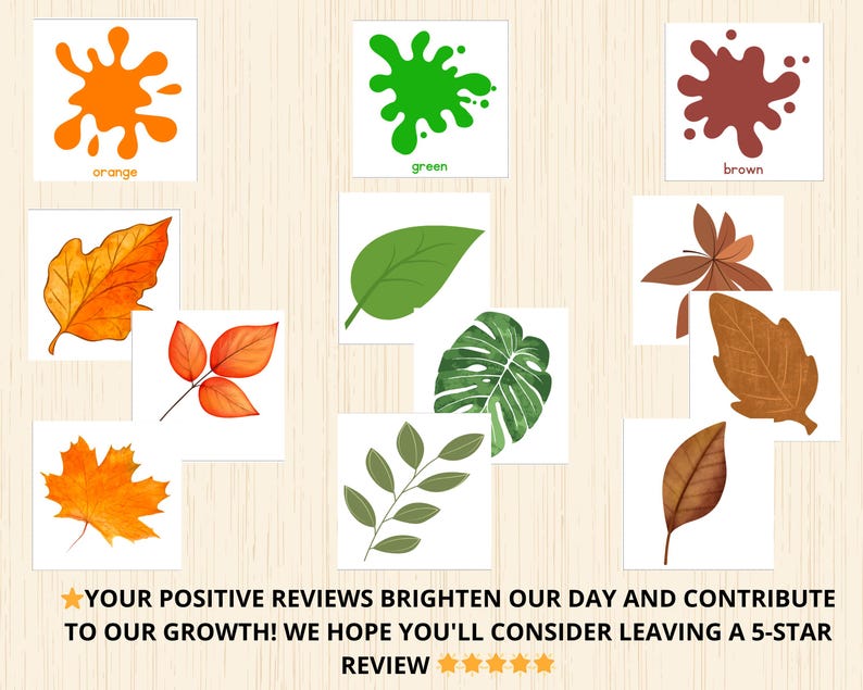 Autumn Color Sorting Activity,color Matching Game,autumn Leaves Colour ...