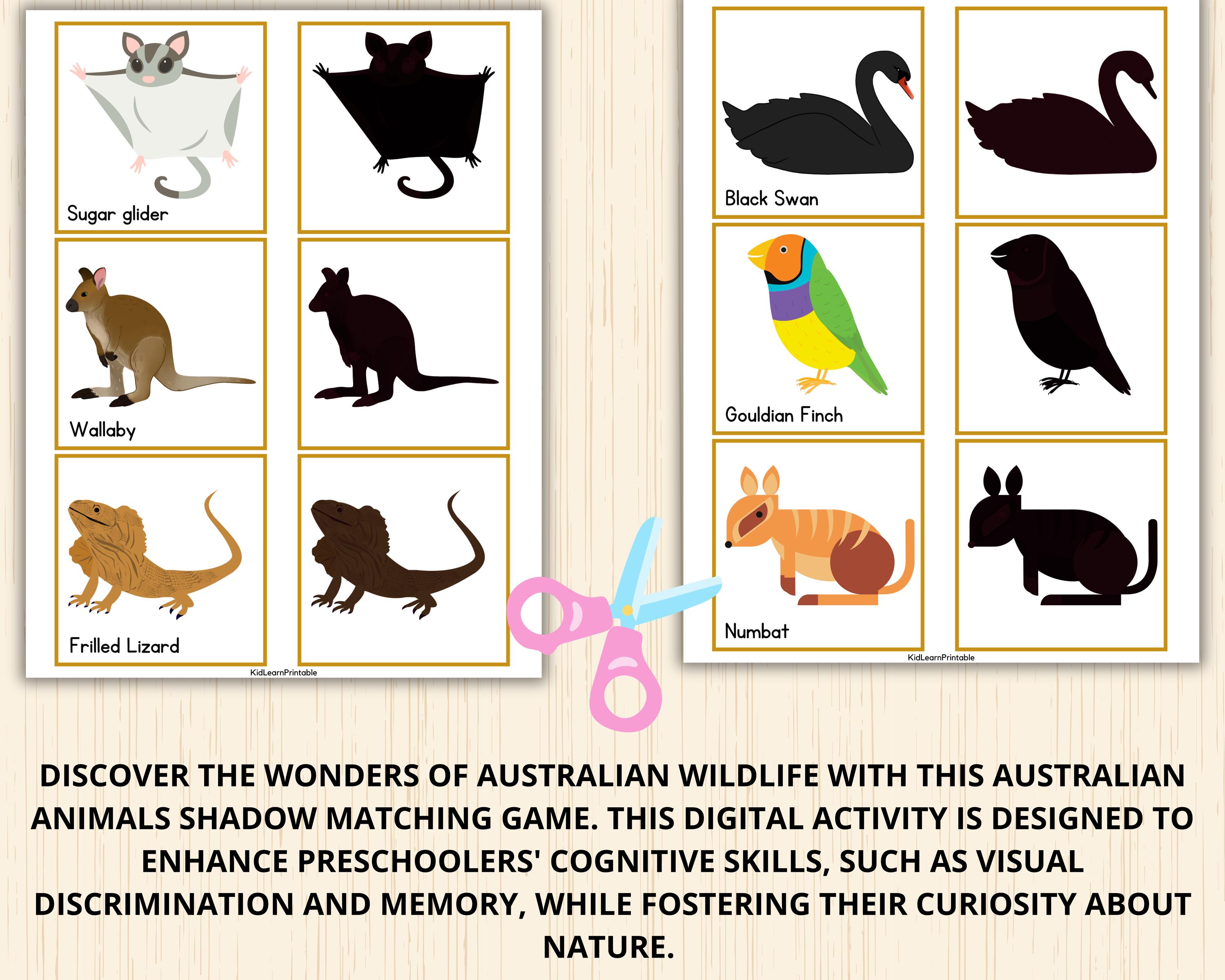 Australian Animals Shadow Matching Cards,australia Animal Flashcard ...