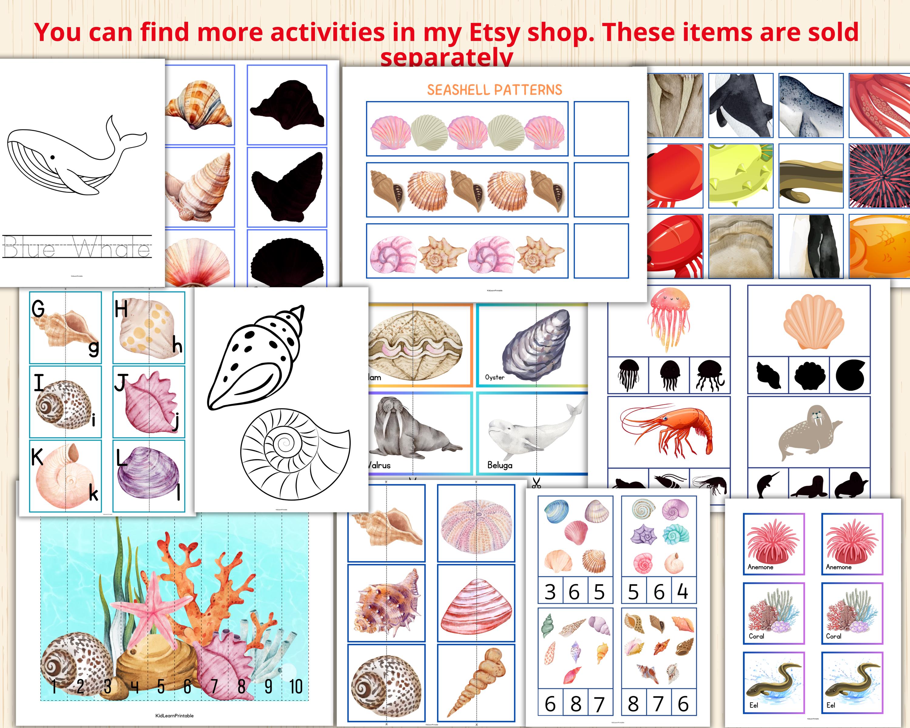 Seashell Alphabet Puzzle,alphabet Matching Activity,ocean Matching ...