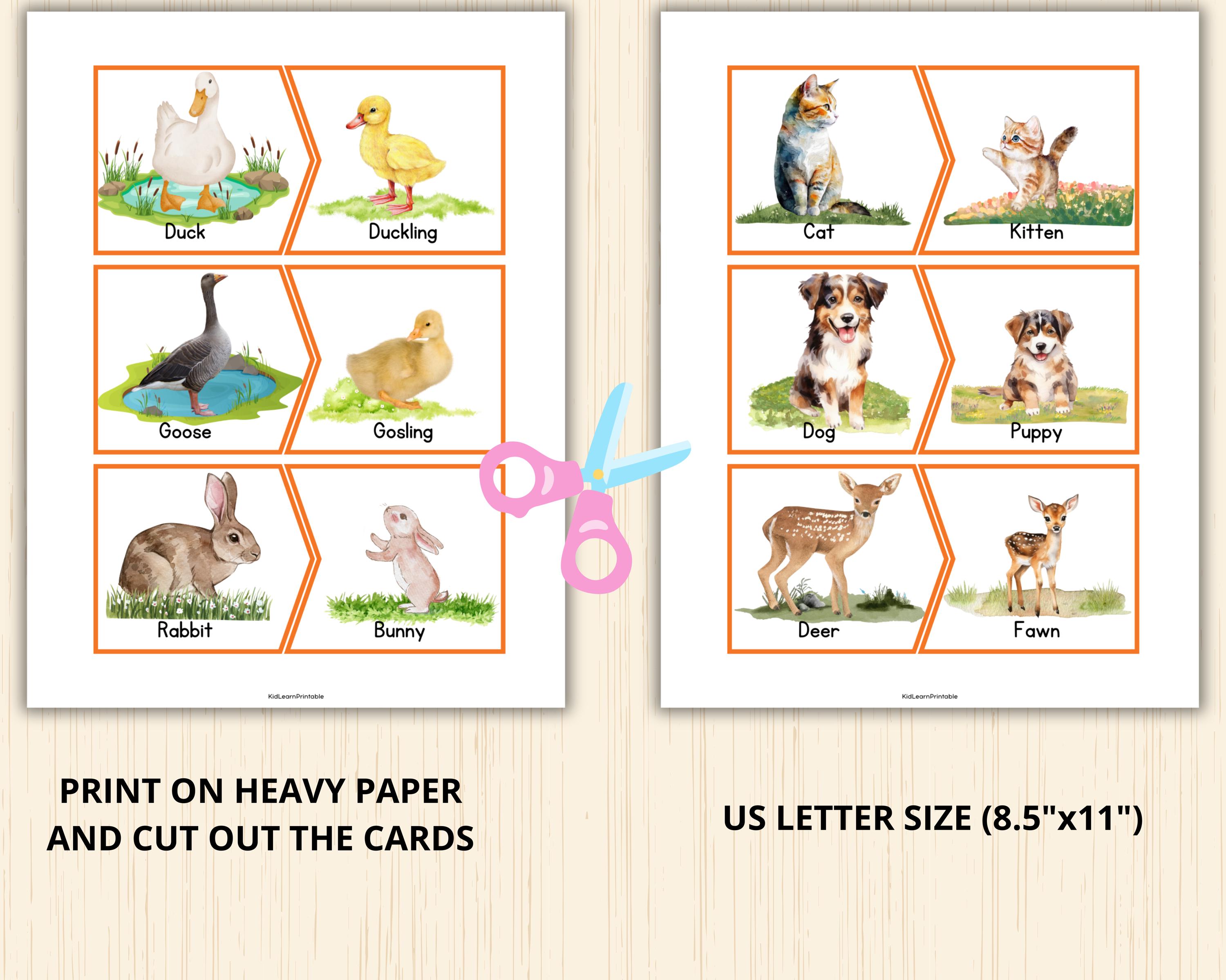 Mother and Baby Farm Animal Matching Card,montessori Farm Unit,farm ...