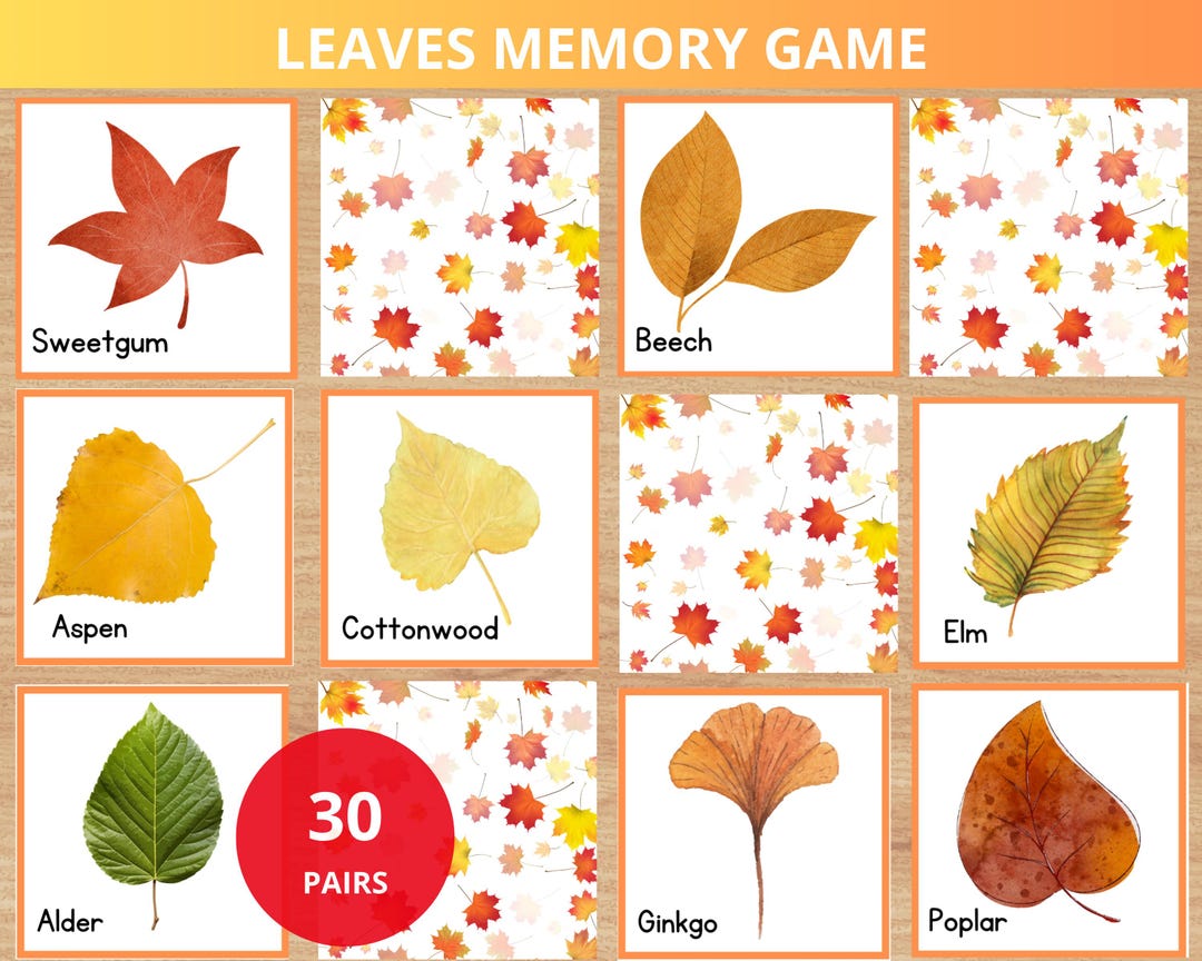 Leaves Memory Game,leaf Matching Cards,fall Memory Game,autumn Activity ...