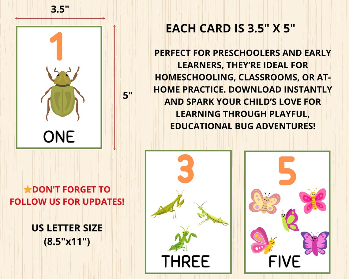 Bugs Number Flashcard,minibeast Number Cards,insect Preschool,nature ...