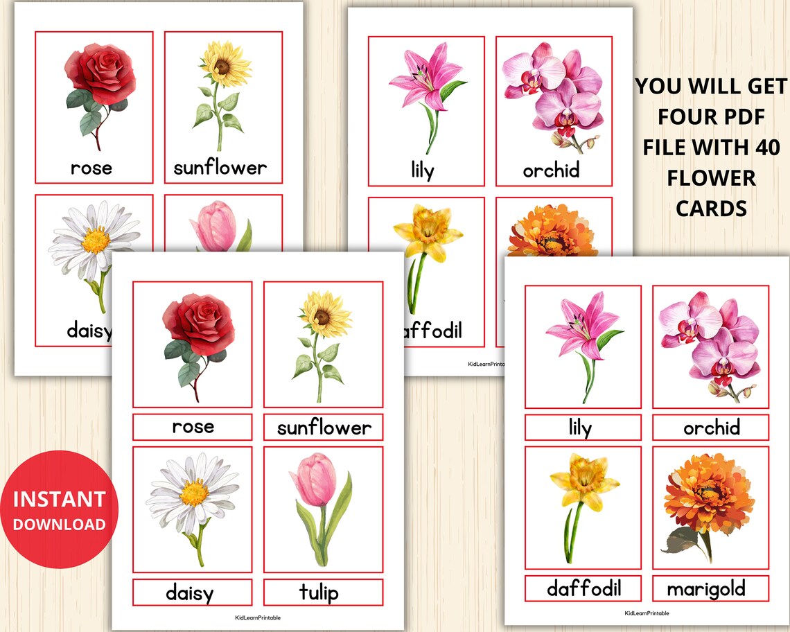 Flower 3-part Cards, Spring Montessori Activity,flowers Flashcards ...