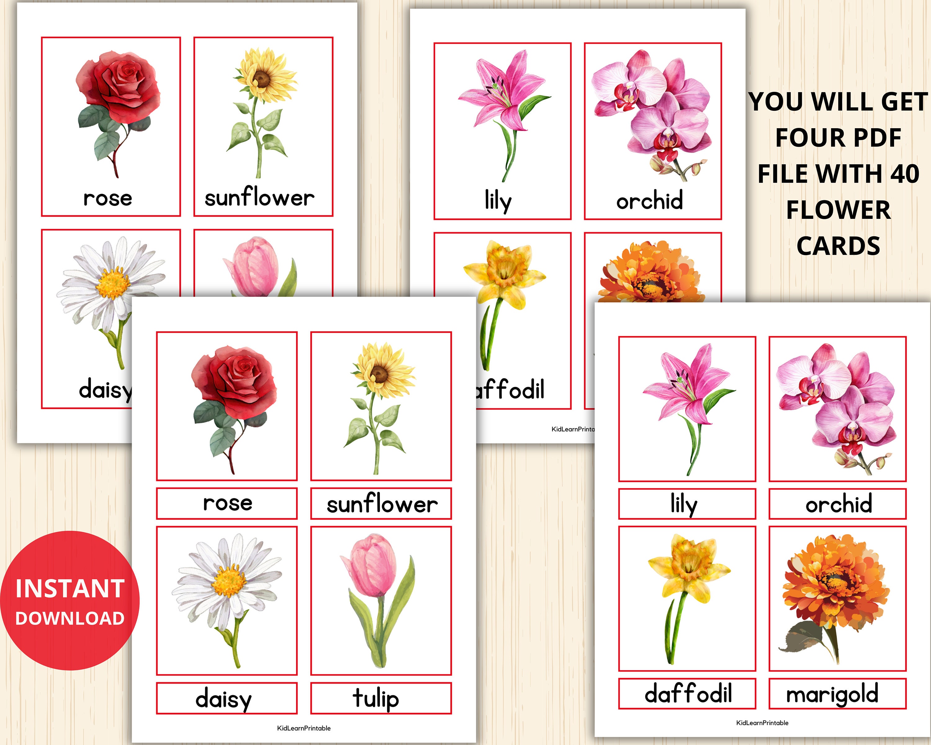 Flower 3-part Cards, Spring Montessori Activity,flowers Flashcards ...