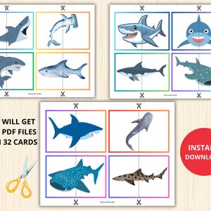 Shark Symmetry Puzzles,summer Matching Activity,visual Skills,animal ...