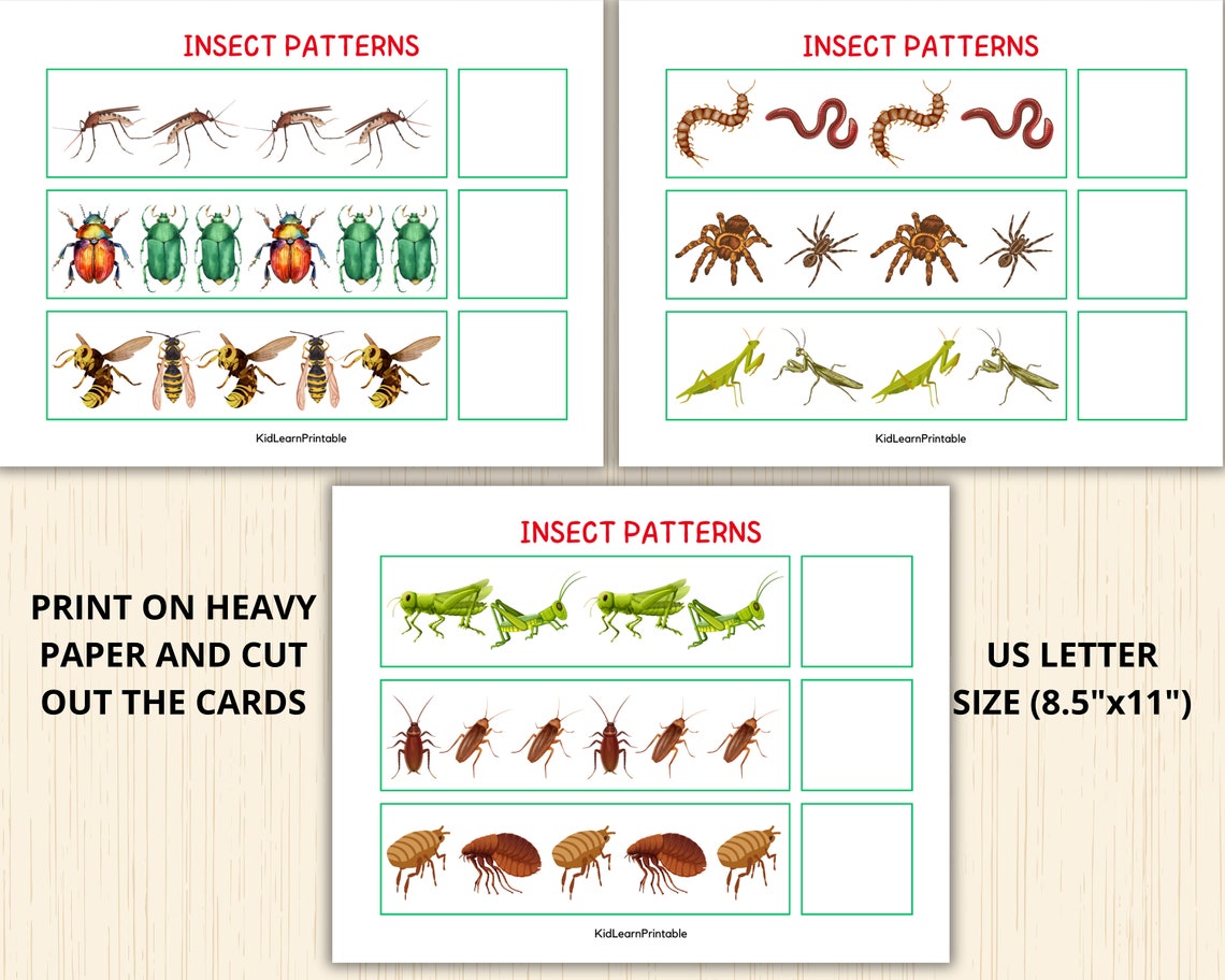Insect Patterns,insect Activity,cut and Paste Patterns,preschool ...
