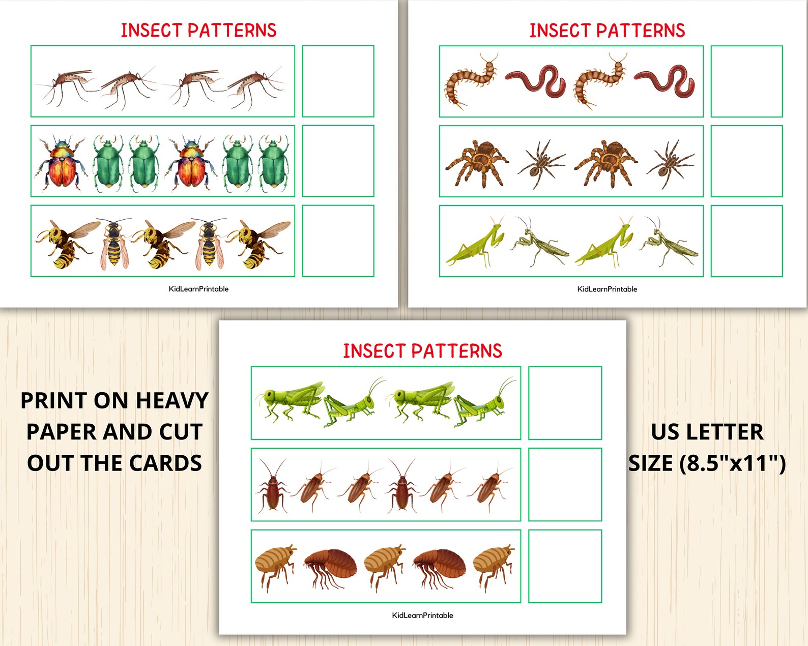 Insect Patterns,insect Activity,cut and Paste Patterns,preschool ...