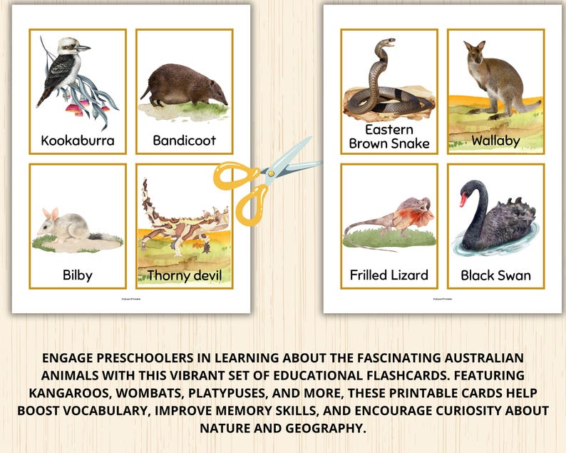 Australian Animal Flashcards,australia Flash Cards,australia Montessori ...