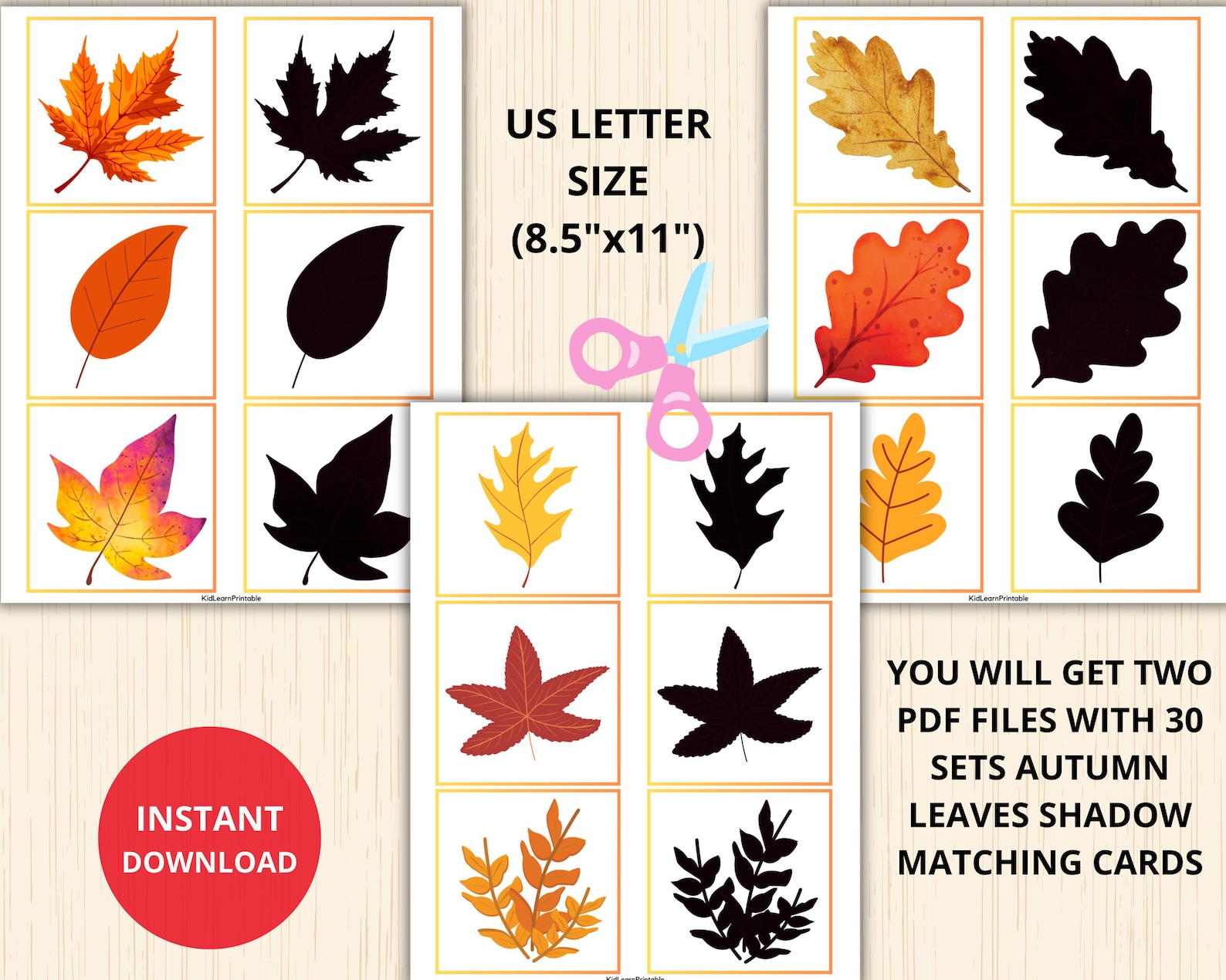Fall Matching Activities, Autumn Leaves Shadow Matching Game,fall ...
