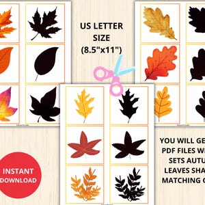 Fall Matching Activities, Autumn Leaves Shadow Matching Game,fall ...