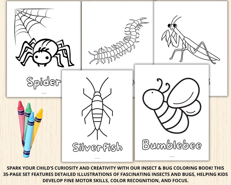 Insect Coloring Pages,bugs Coloring Sheet,insect Coloring Book,spring ...