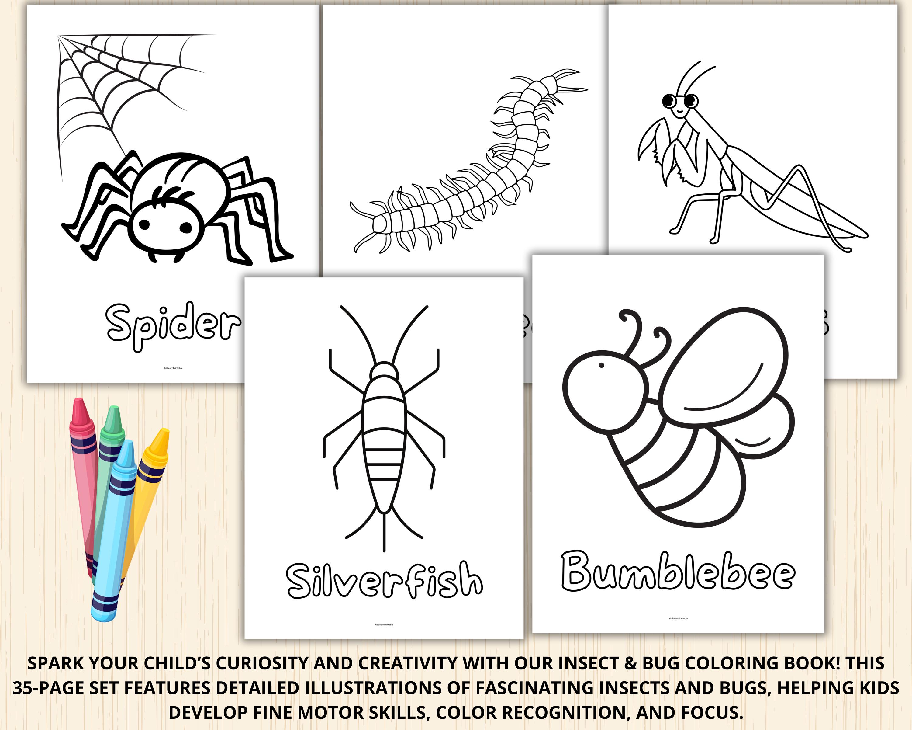 Insect Coloring Pages,bugs Coloring Sheet,insect Coloring Book,spring ...