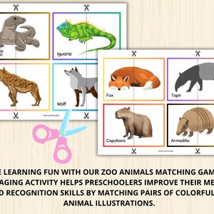 Zoo Animals Matching Game,zoo Animals Puzzle Pairs,puzzle Symmetry ...