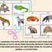Zoo Animals Matching Game,zoo Animals Puzzle Pairs,puzzle Symmetry ...