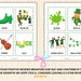 St. Patrick's Day Flashcard,st Patricks Vocabulary,saint Patrick's ...