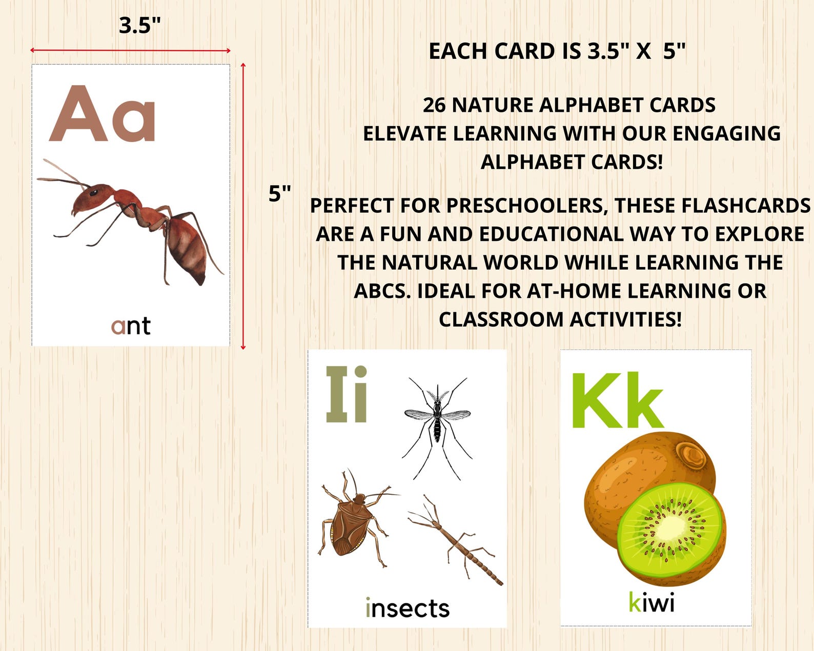 Nature Alphabet,nature Flashcard,fall Unit Study,alphabet Cards for ...