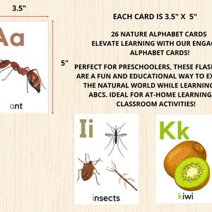 Nature Alphabet,nature Flashcard,fall Unit Study,alphabet Cards for ...