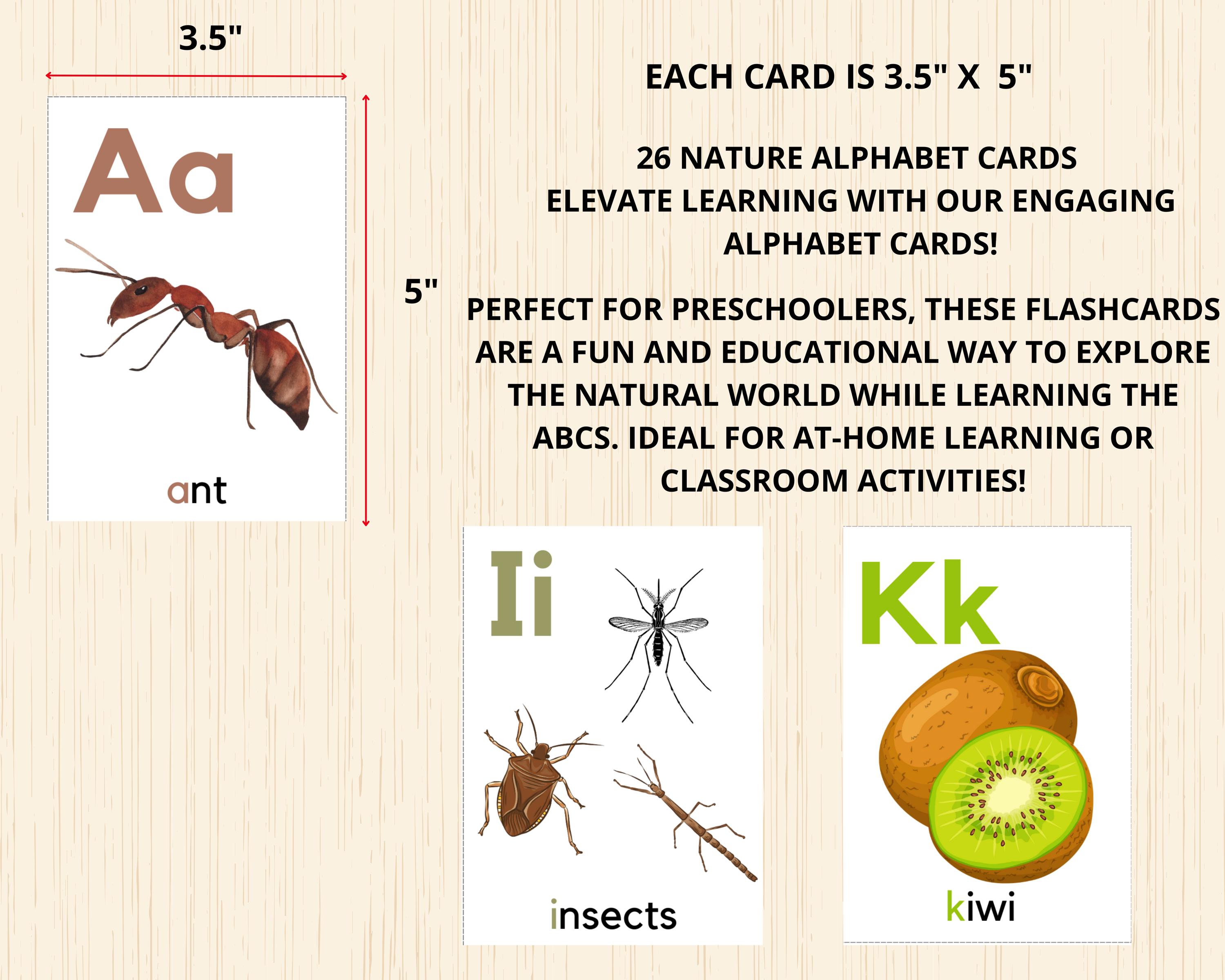 Nature Alphabet,nature Flashcard,fall Unit Study,alphabet Cards for ...