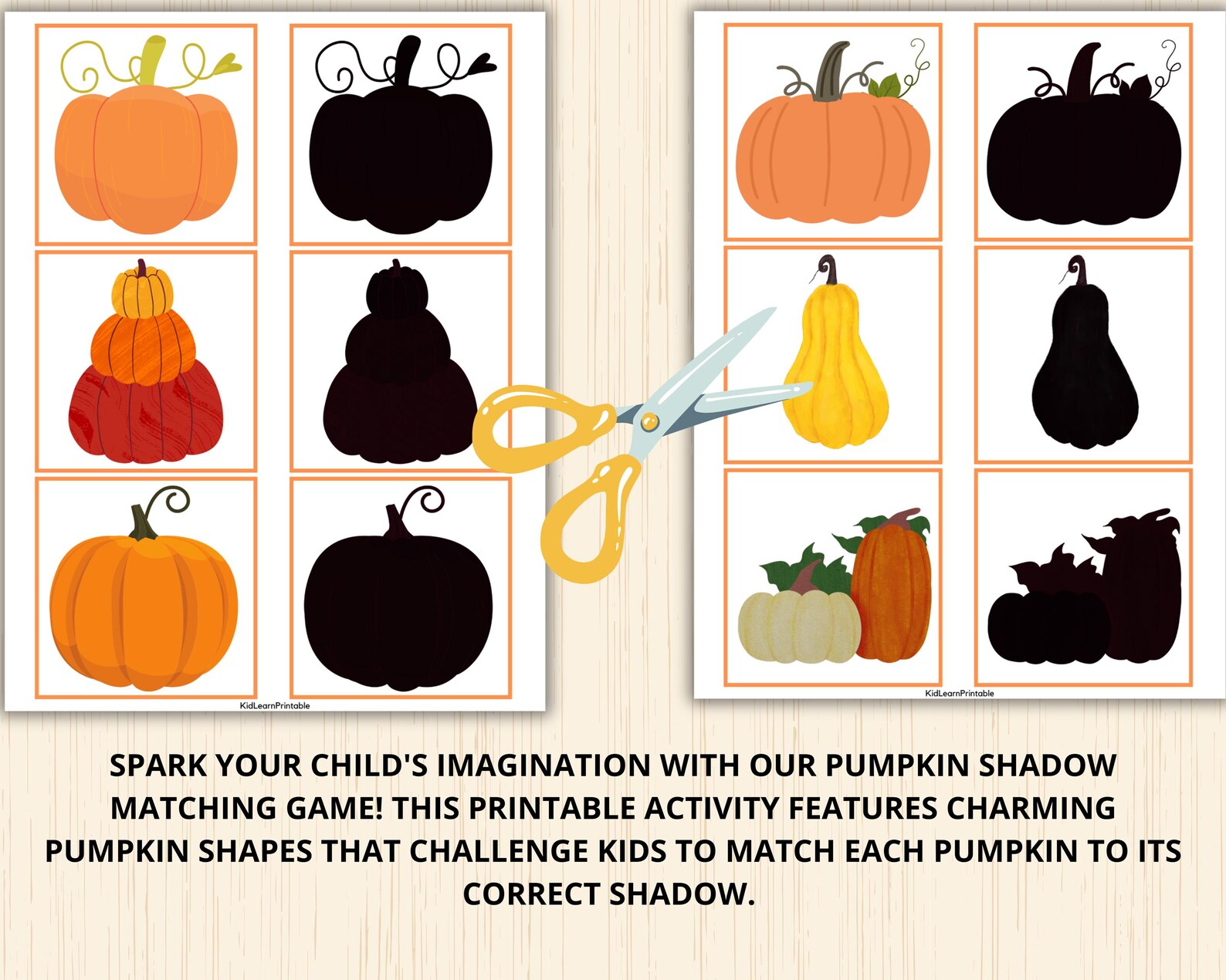 Pumpkin Shadow Matching,pumpkin Montessori,fall Activity Kids,fall ...
