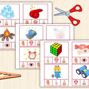 5 Senses Clip Cards, Five Senses Sorting Activity Game, Sort and Match ...
