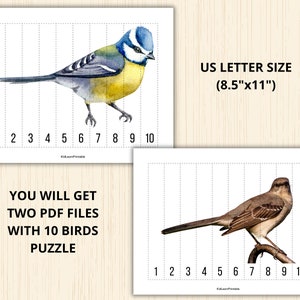 Birds Puzzle, Birds Number Sequence Puzzle,montessori Spring Math ...