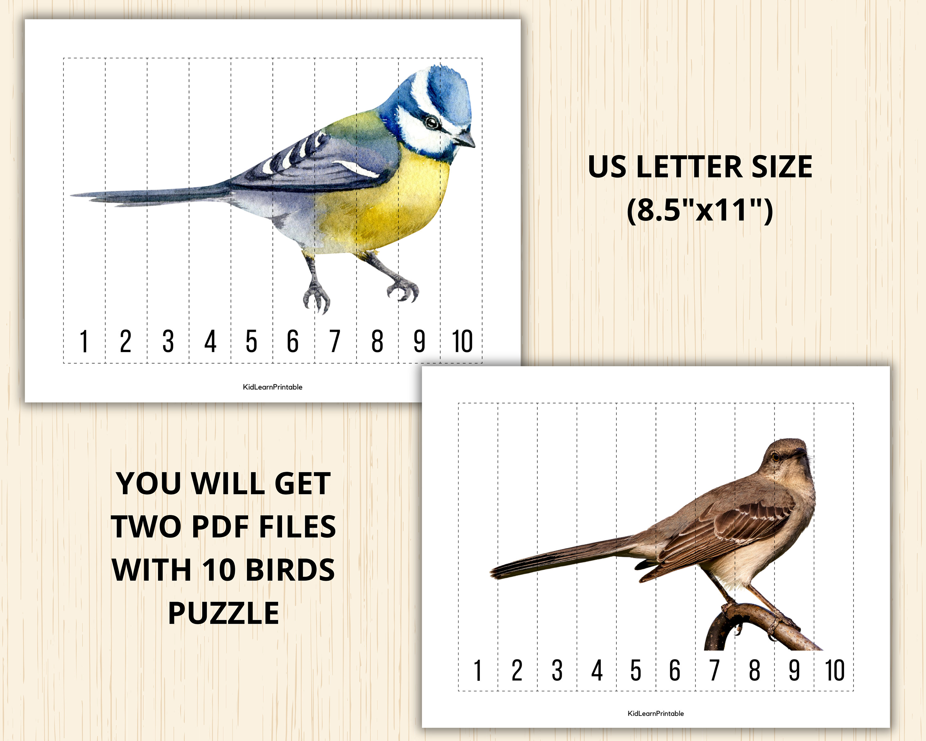 Birds Puzzle, Birds Number Sequence Puzzle,montessori Spring Math ...