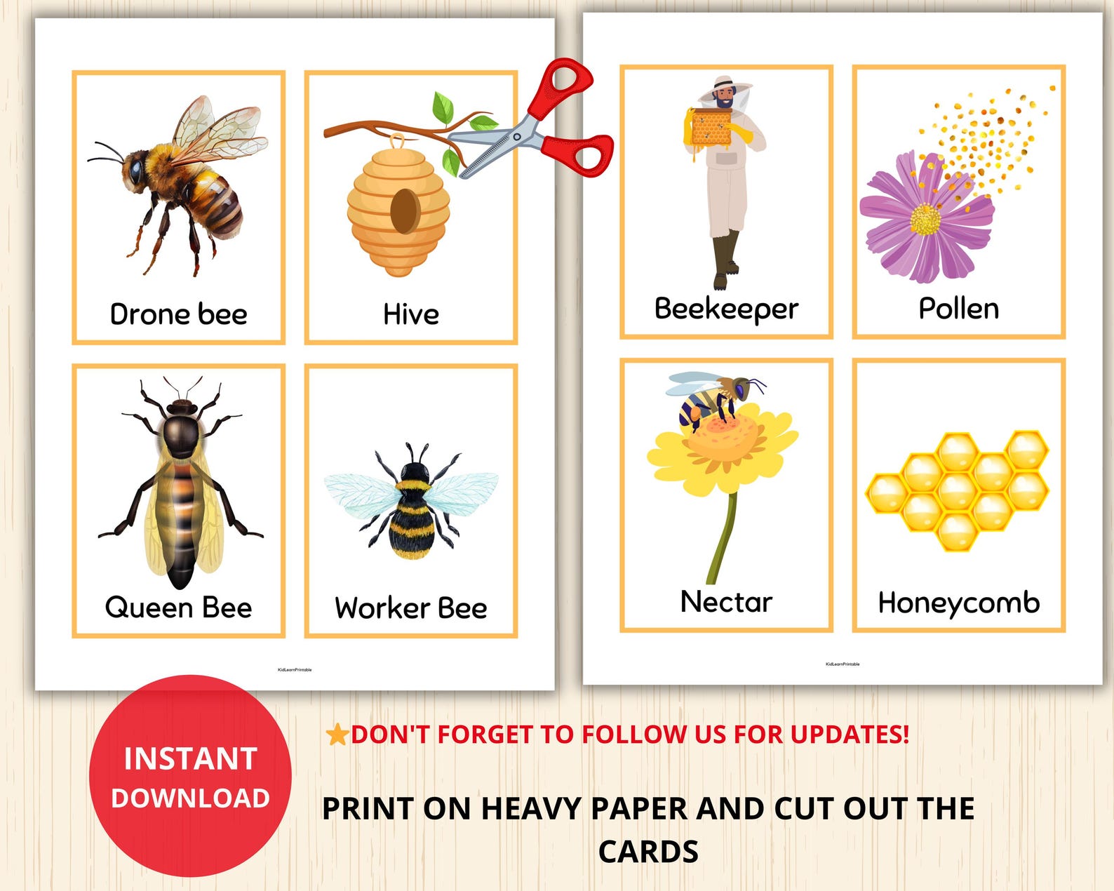 Bee Flashcards,honeybee Flashcards,nature Cards,bee Unit Study,insect ...