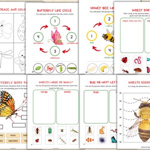 Insects Activity Book,insect Bundle,insect Unit Study,bugs Activity ...