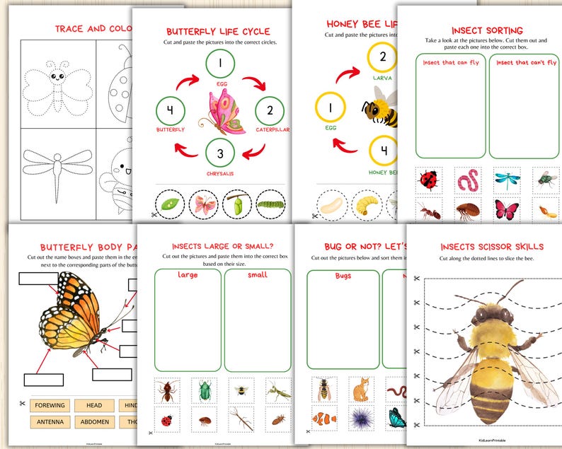 Insects Activity Book,insect Bundle,insect Unit Study,bugs Activity ...
