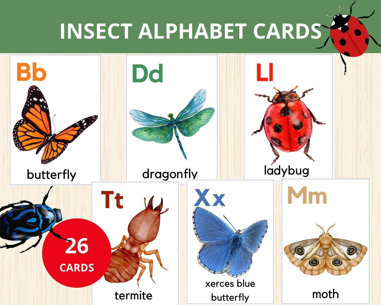 Insect Flashcards, Bug Alphabet,insect Alphabet Cards, Alphabet Flash ...