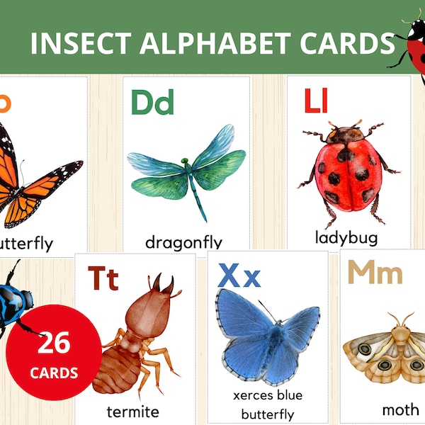 Alphabet Flashcards - Etsy