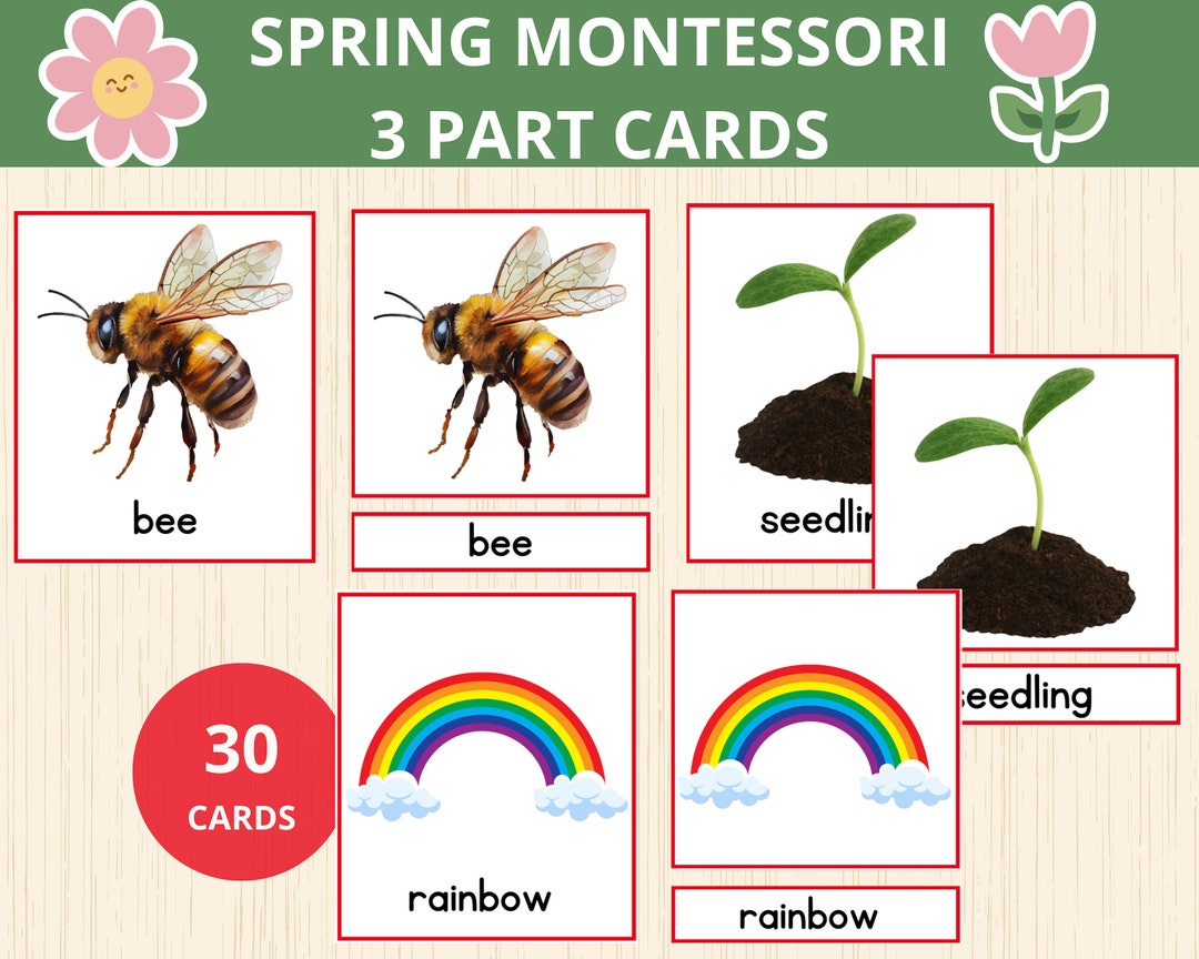 Spring 3 Part Cards, Spring Flashcards, Nature, Montessori Cards ...