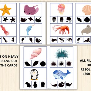 Ocean Animals Shadow Clip Cards,silhouette Matching,summer Matching ...