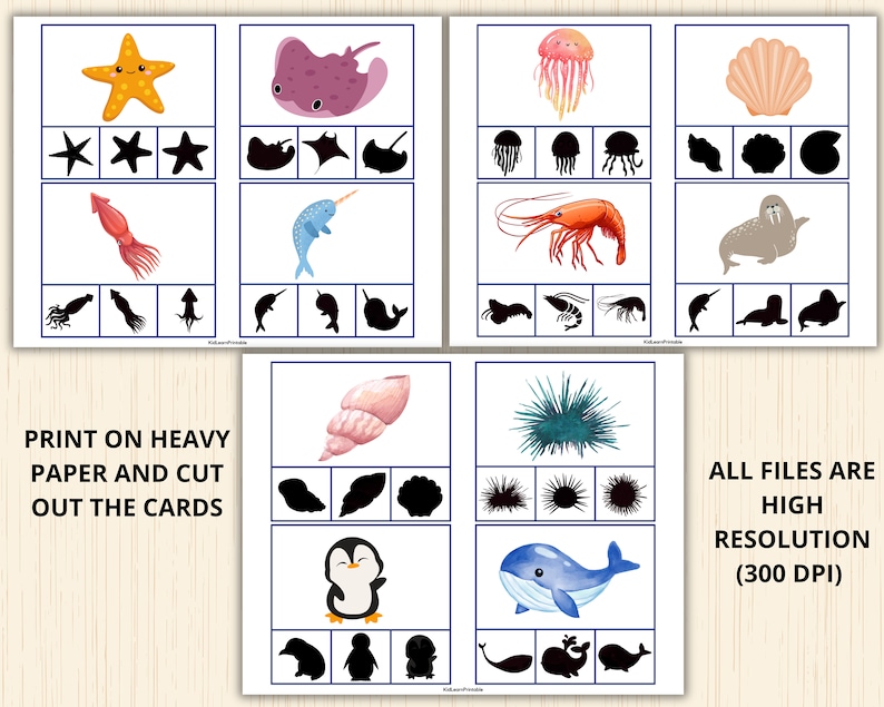 Ocean Animals Shadow Clip Cards,silhouette Matching,summer Matching ...
