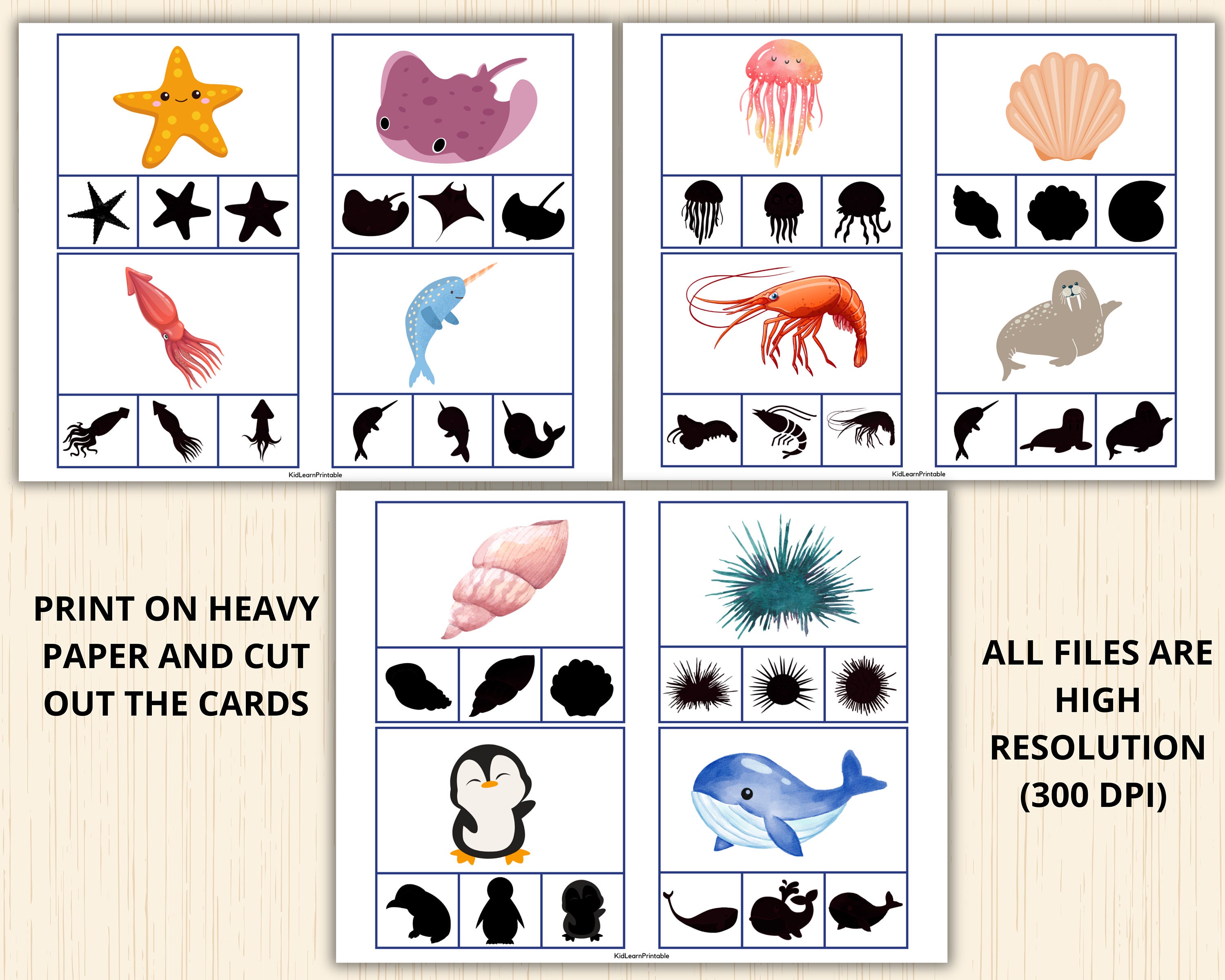 Ocean Animals Shadow Clip Cards,silhouette Matching,summer Matching ...