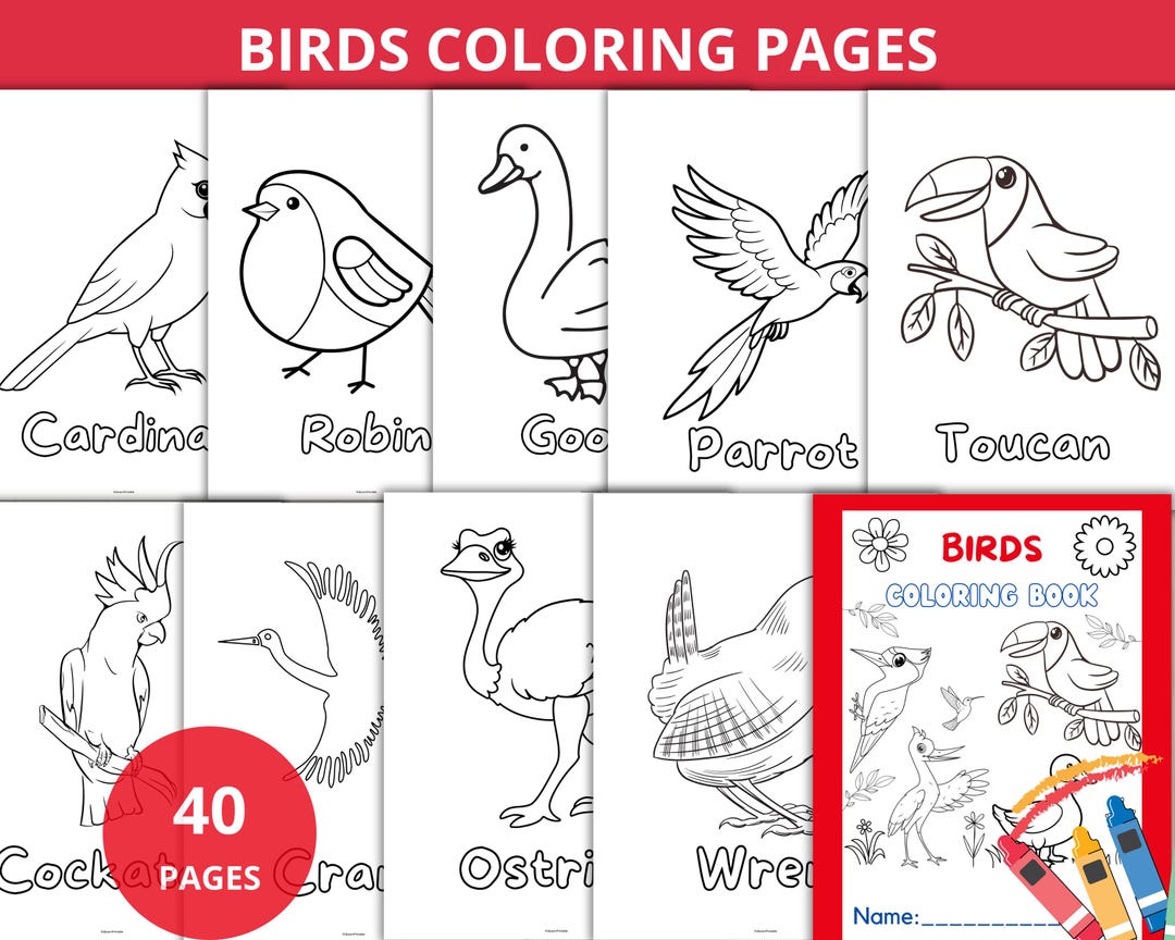 Bird Coloring Pages,bird Coloring Sheets,bird Preschool Activity,bird ...