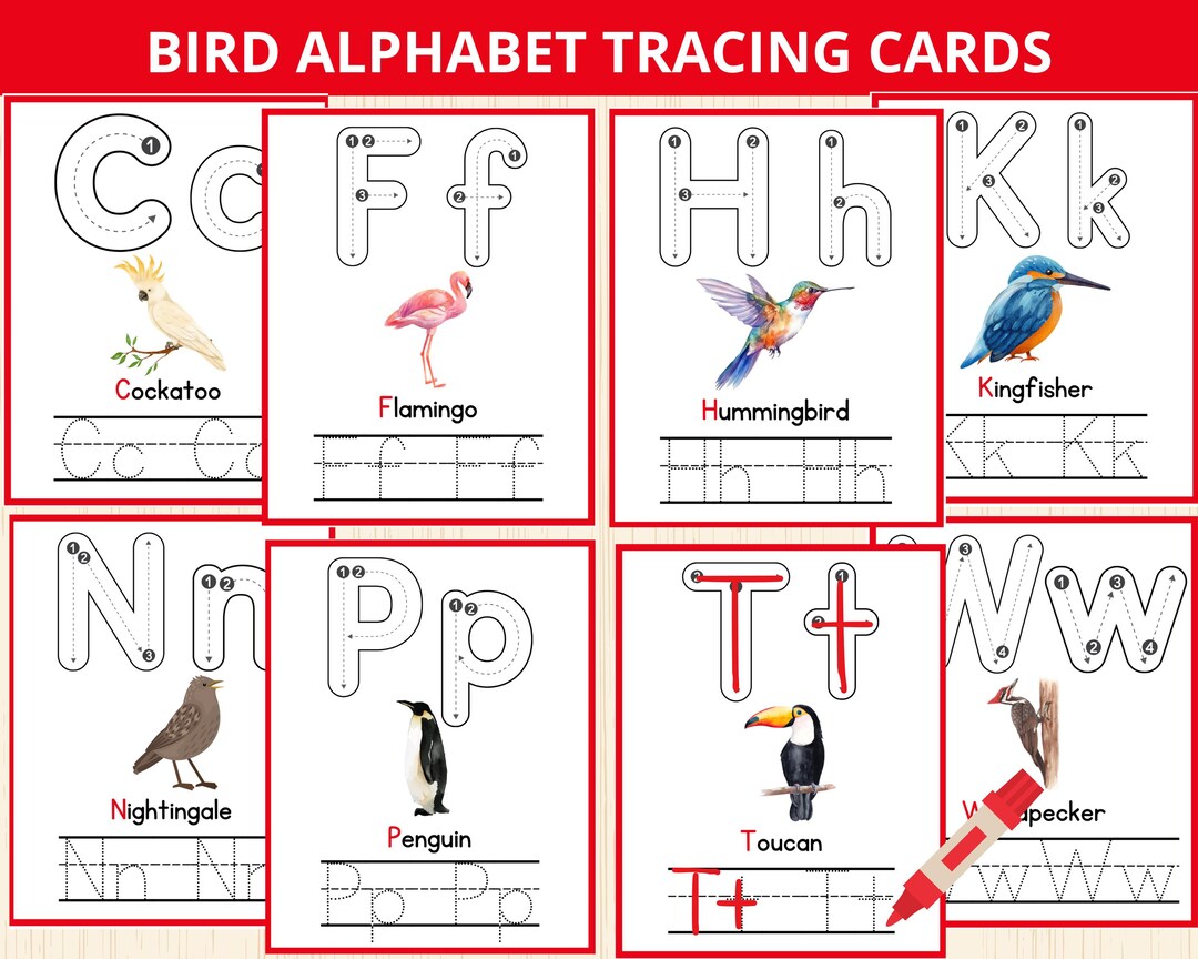 Bird Alphabet Tracing Card,birds Letter Tracing,animals Alphabet ...
