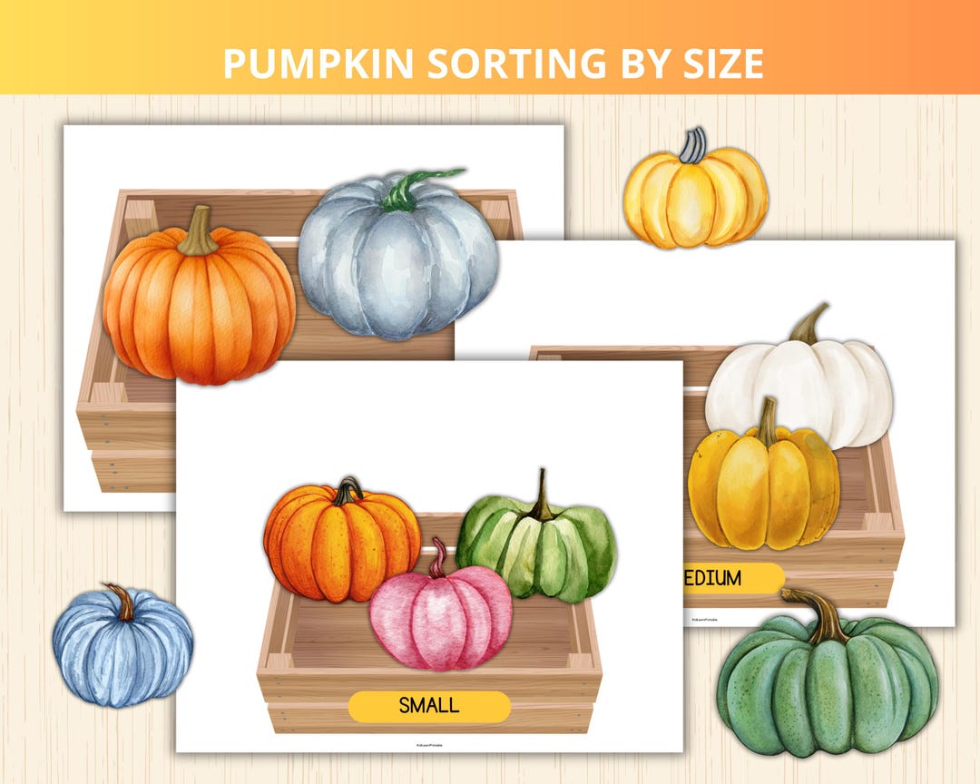 Pumpkin Sorting Game,autumn Preschool,fall Size Sorting,sort by Size ...