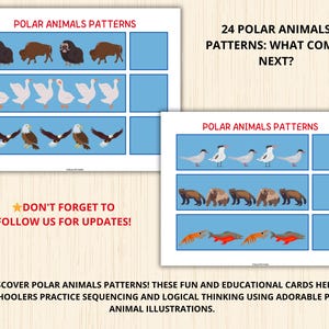 Polar Animals Patterns,ab AAB Patterns,what Comes Next,pattern Activity ...